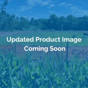 Erosion Control Wattles | Colonial Construction Materials