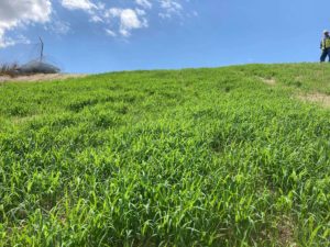 Spotsylvania Solar | Colonial Construction Materials