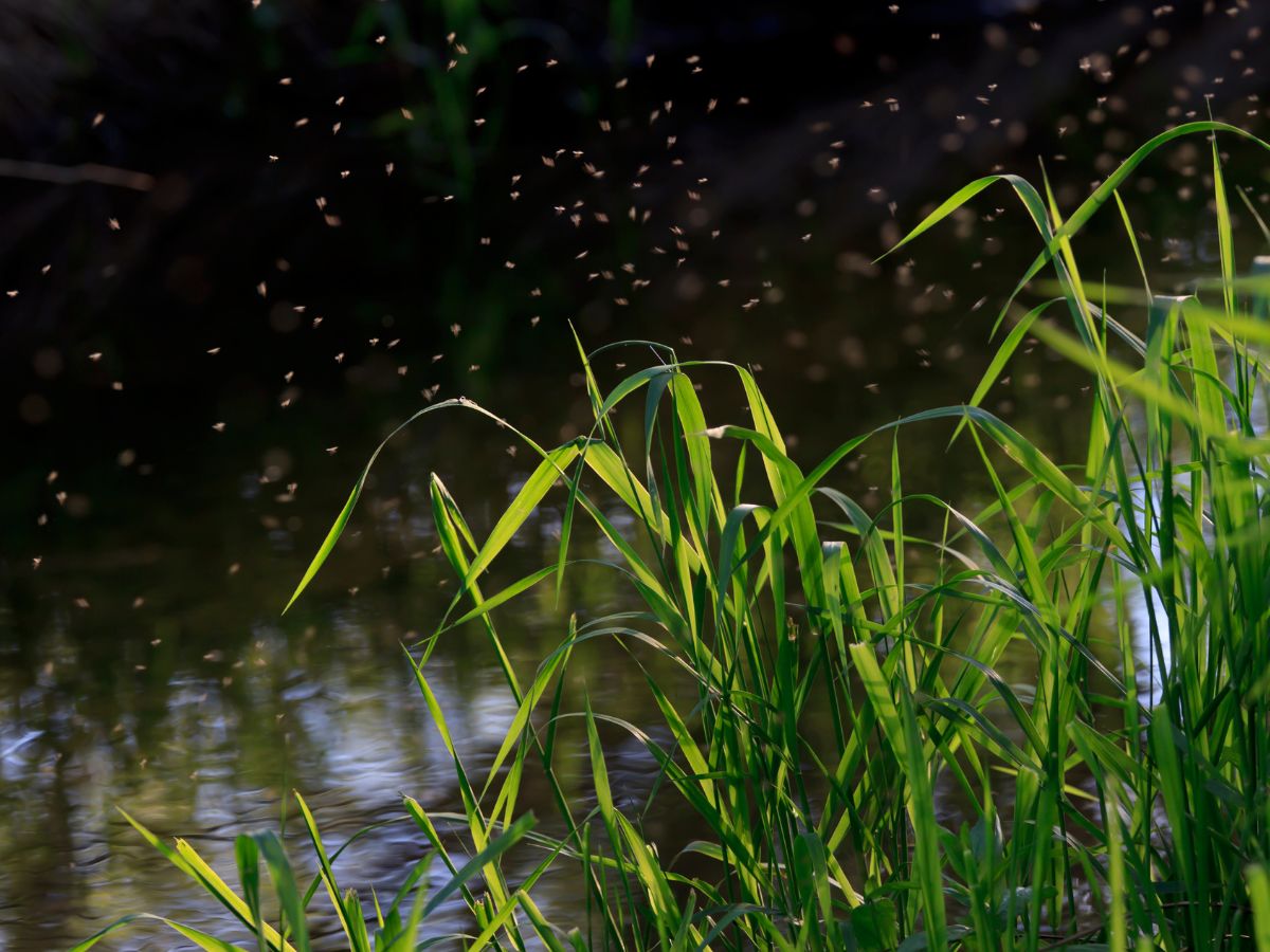 Coastal Erosion Solutions - Colonial Construction Materials
